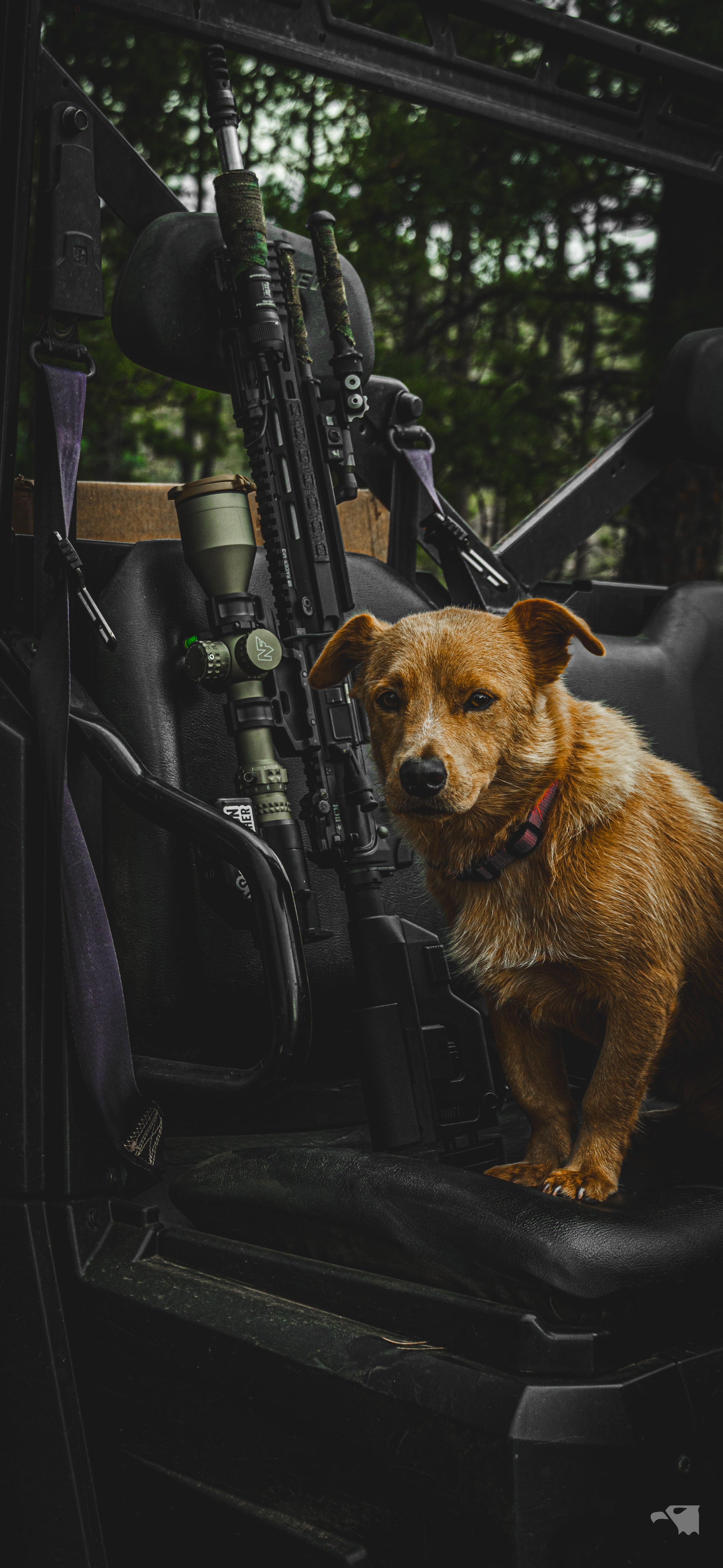 Cell Phone Wallpapers – Weapon Snatcher